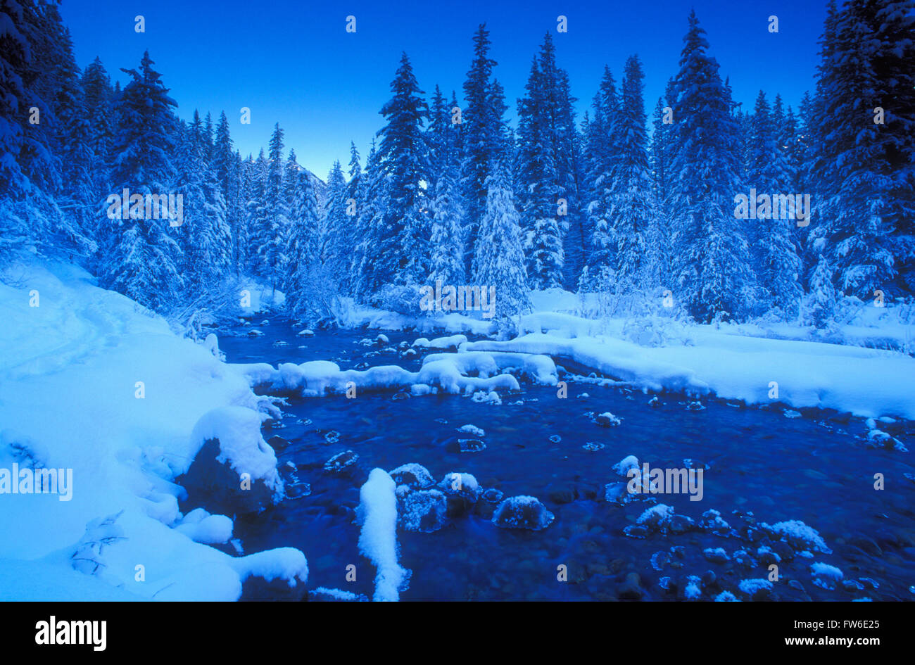 Snow-Covered Trees and Flowing River in Winter, Jasper National Park ...