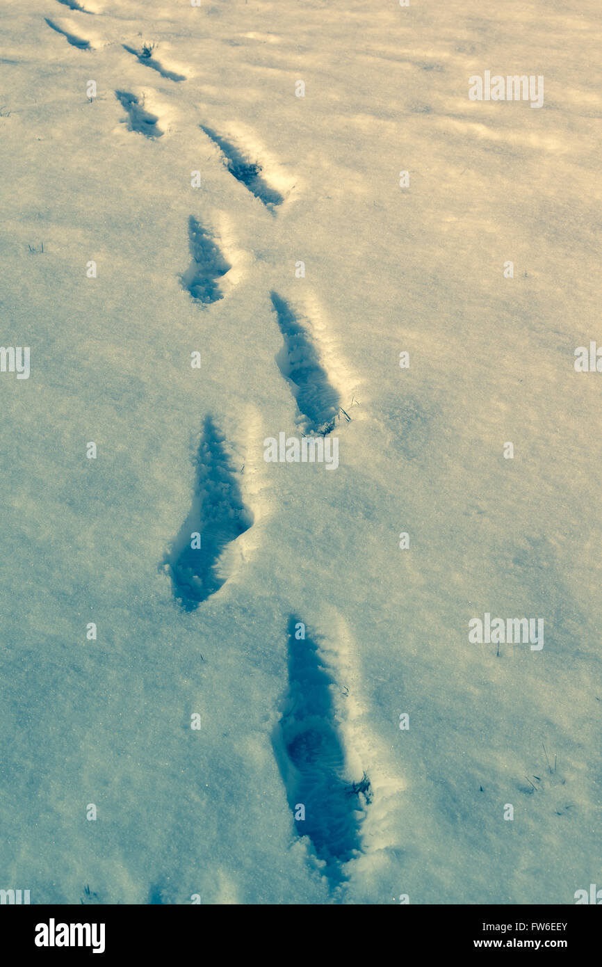 Deep snow scenery on hi-res stock photography and images - Alamy