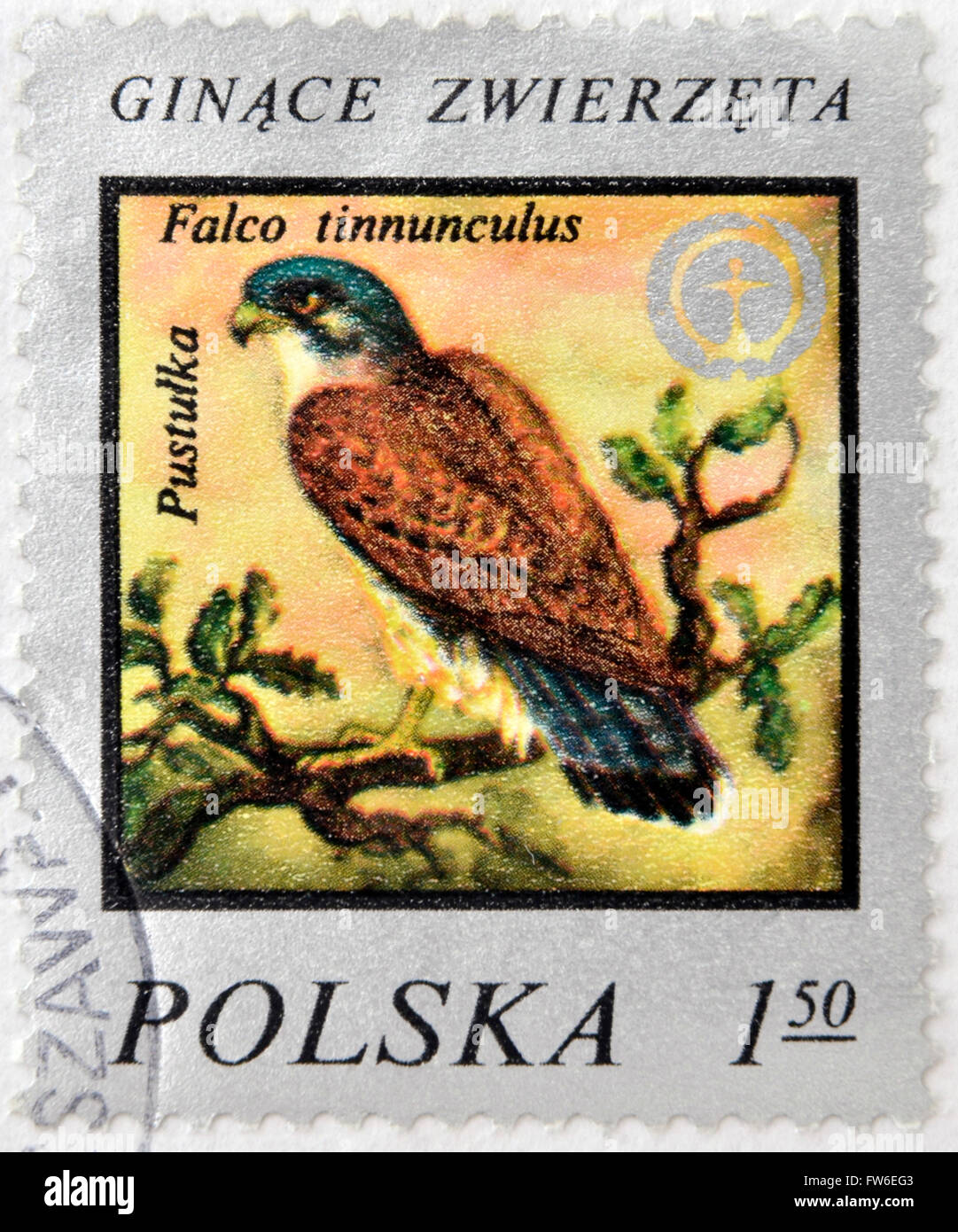 Mark falco hi-res stock photography and images - Alamy