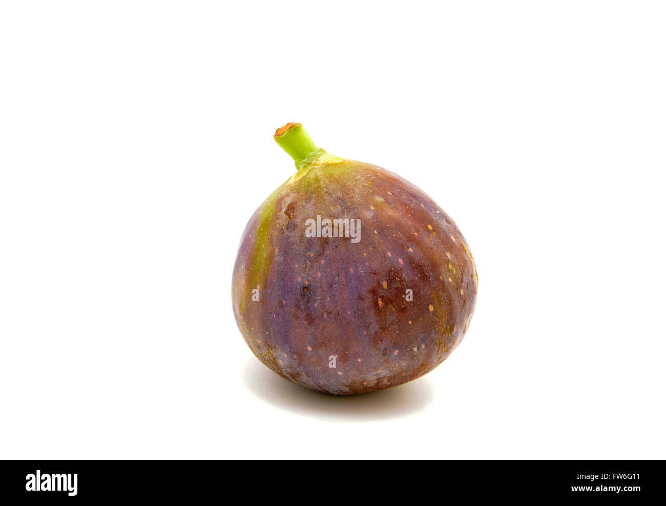 Fig tree fruit Cut Out Stock Images & Pictures - Alamy