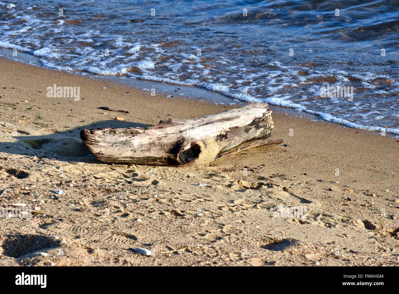Ocean with log hi-res stock photography and images - Alamy