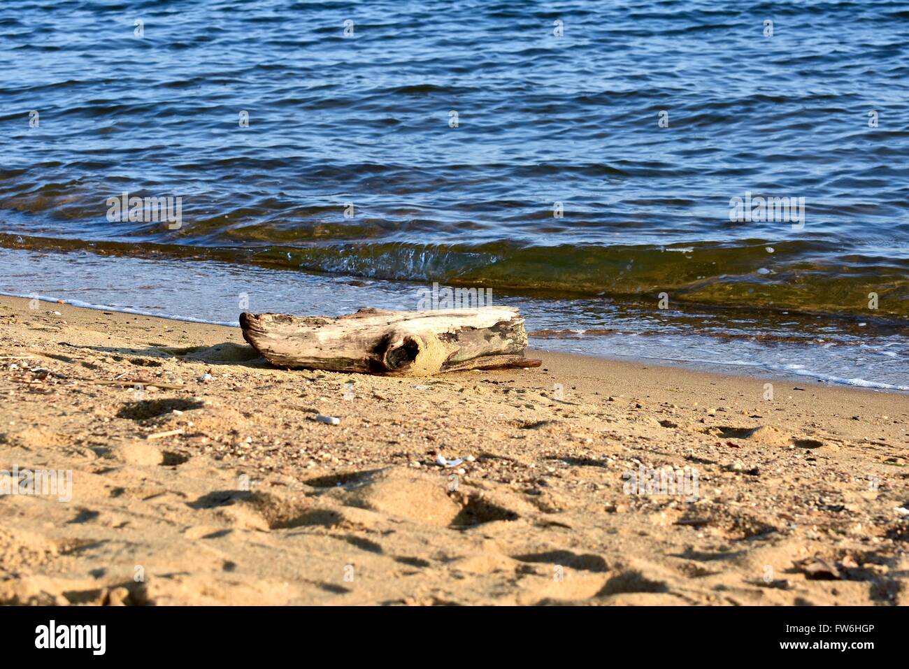 Log washed up on ocean beach Stock Photo - Alamy