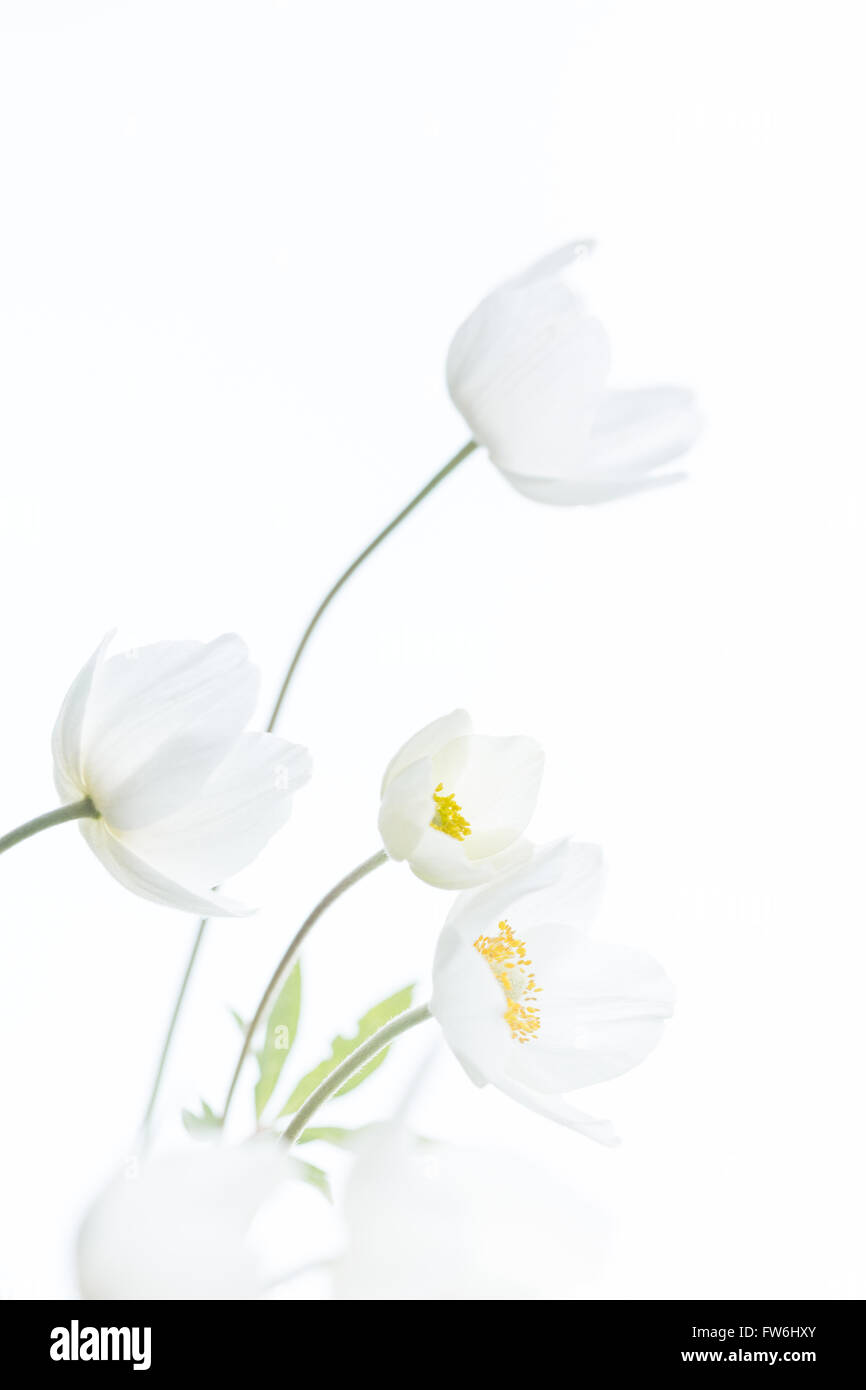 Abstract spring backgrounds Cut Out Stock Images & Pictures - Alamy