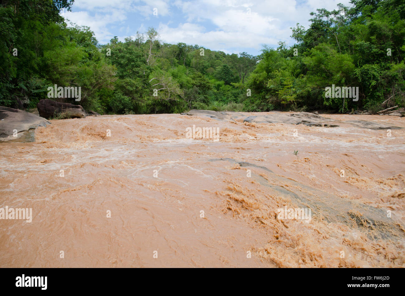 Rain forest river hi-res stock photography and images - Alamy