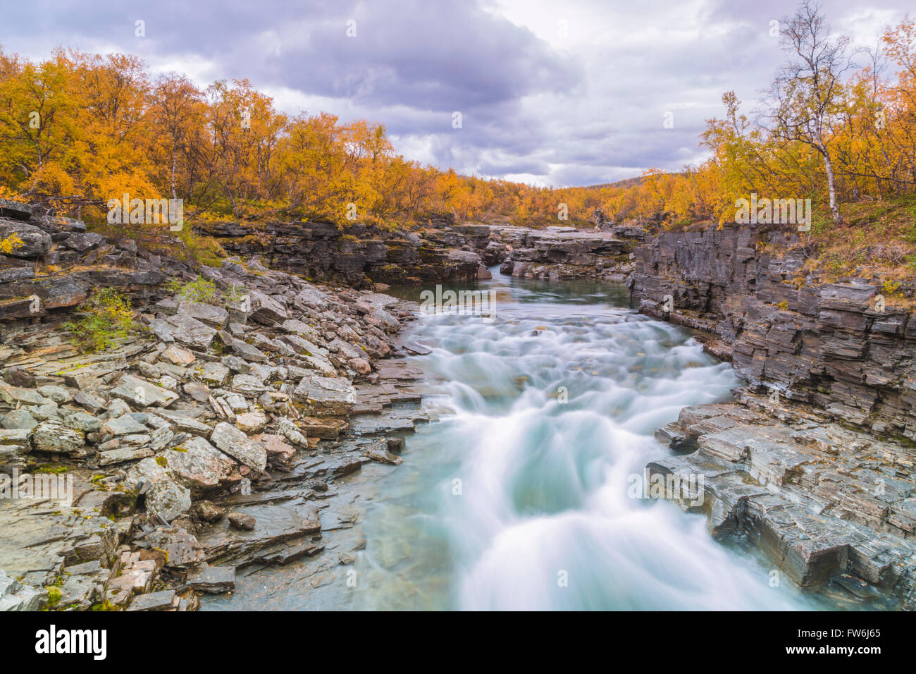 Abisko jokk in autumn season with yellow birch trees and smooth clear ...