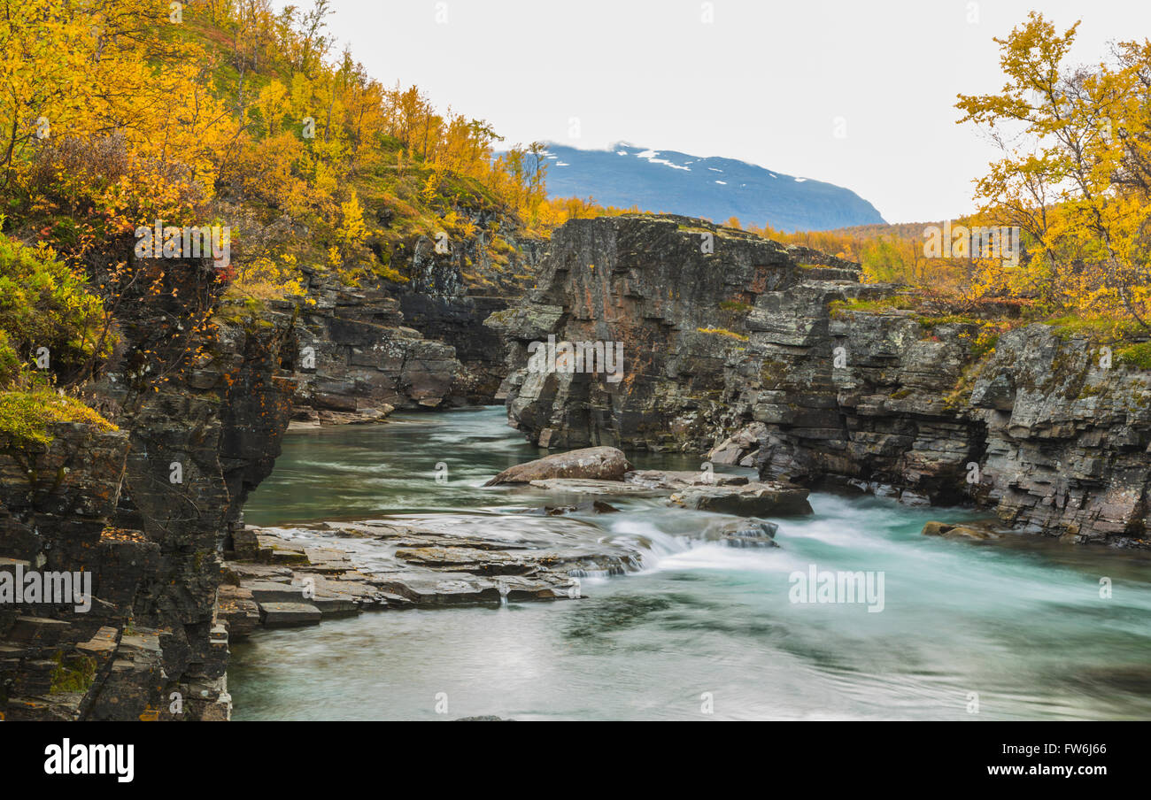 Abisko jokk in autumn season with yellow birch trees and smooth clear ...