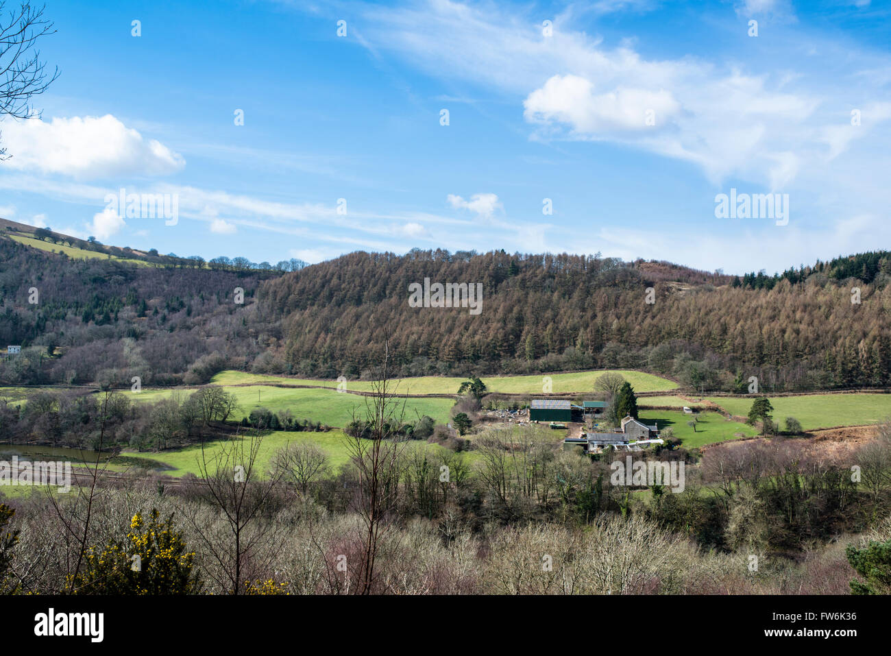 Vale forest hi-res stock photography and images - Alamy