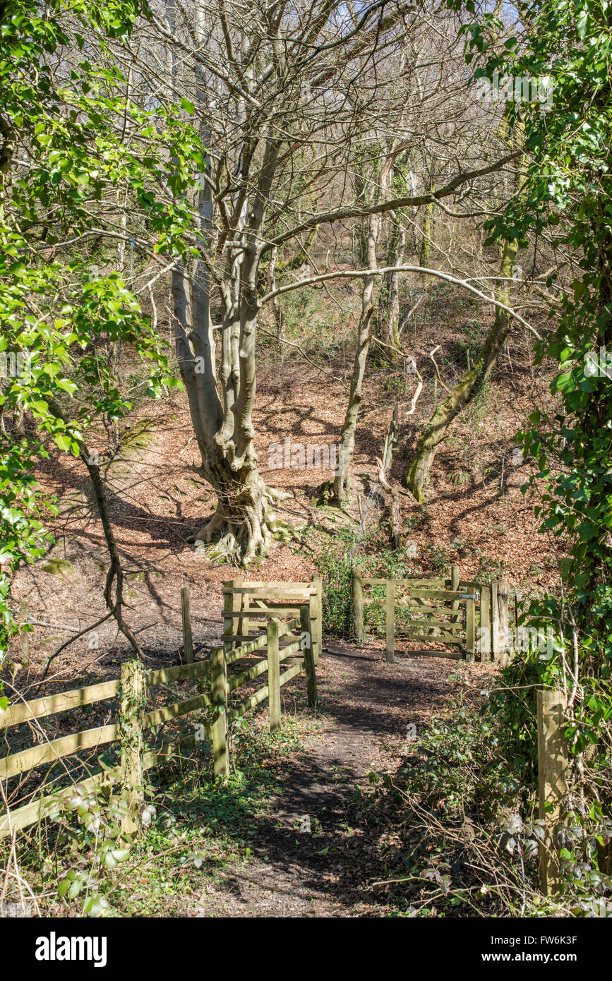 A public footpath and a kissing gate Stock Photo - Alamy