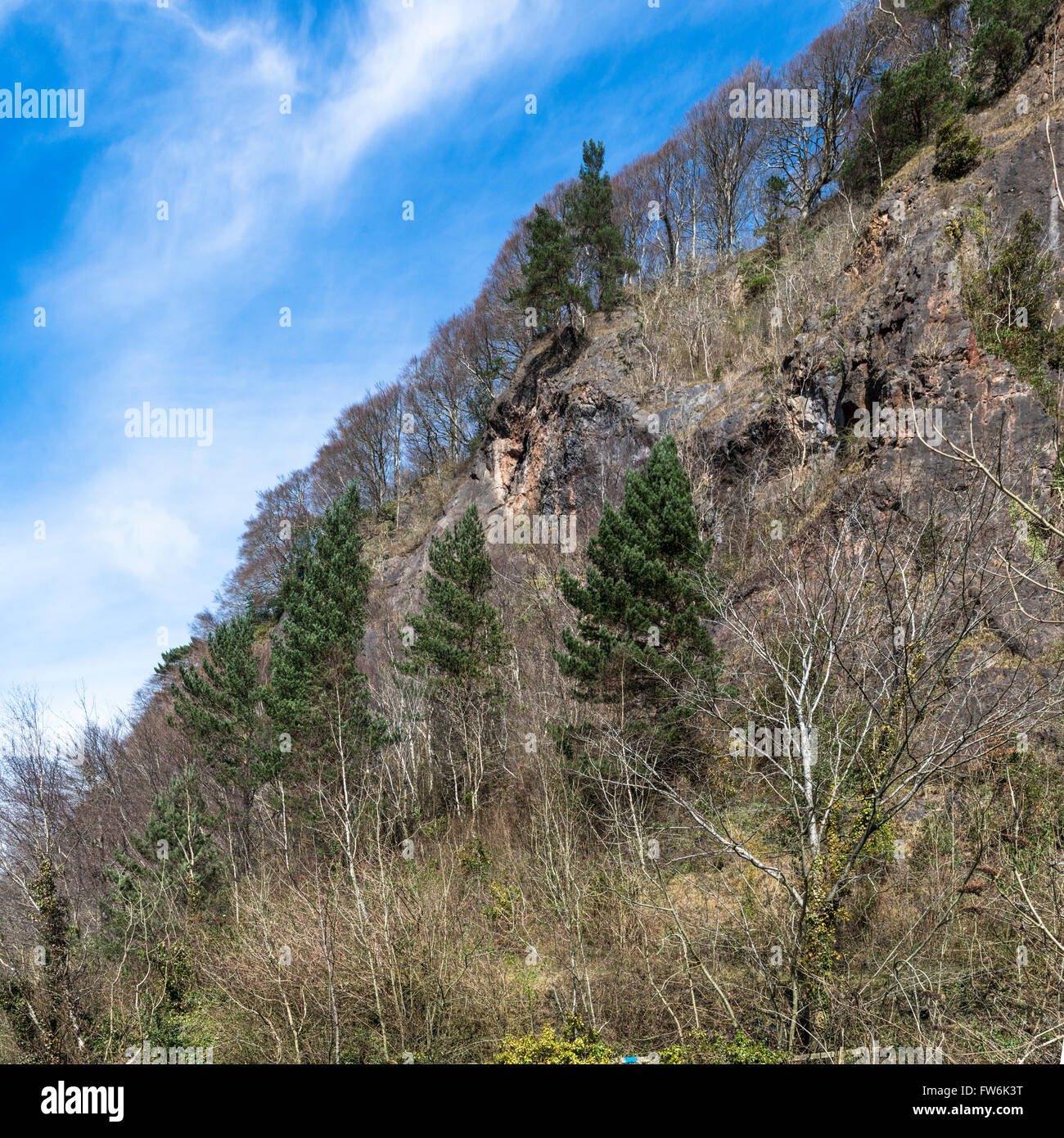 A rock face with trees along the ridge Stock Photo - Alamy