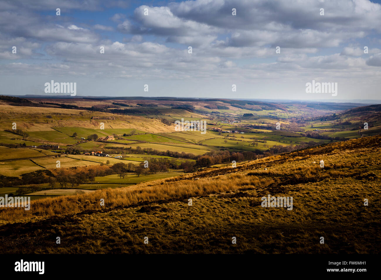 North York Moors Landscape Stock Photo - Alamy
