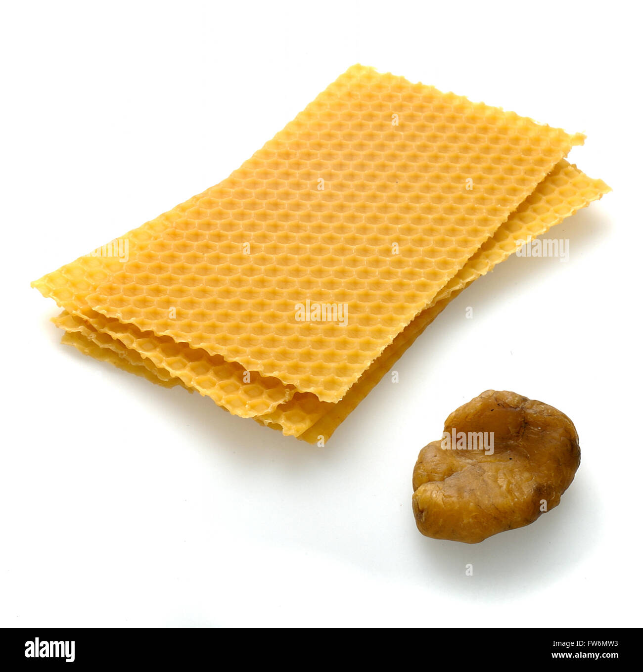Thick scales Cut Out Stock Images & Pictures - Alamy