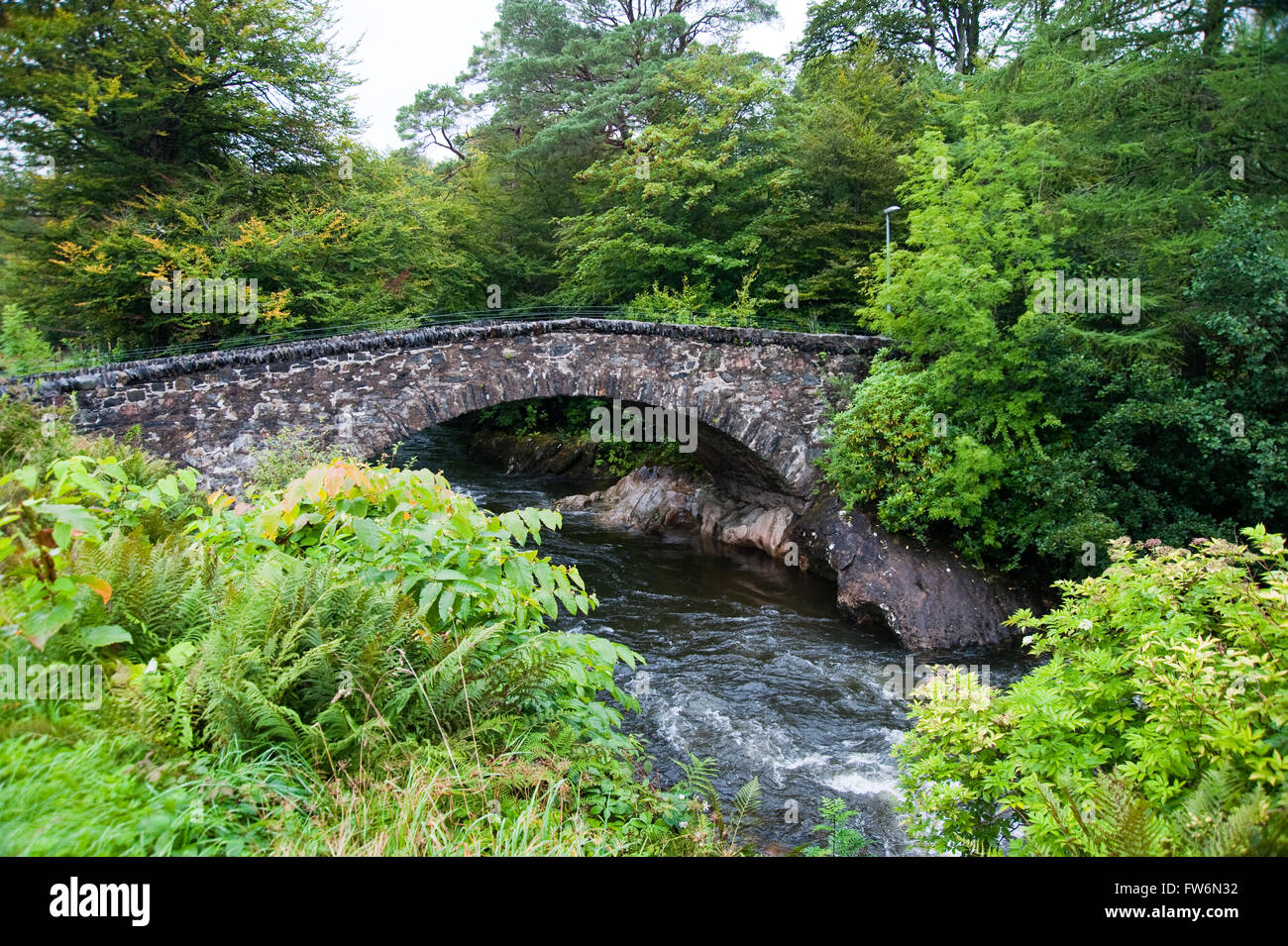 River coe in the highlands of Scotland Stock Photo - Alamy
