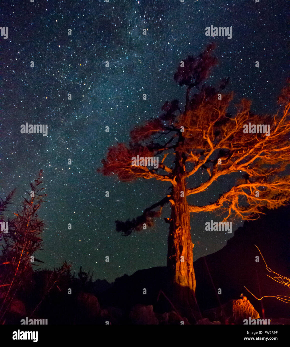 milky way above the mountains with tree highlighted by bonfire Stock ...