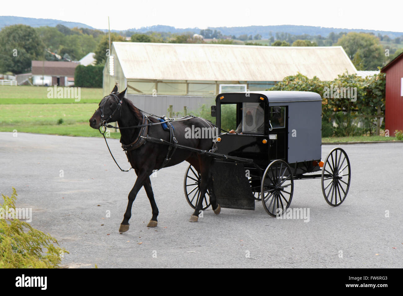 Amish Horse And Cart Stock Photos & Amish Horse And Cart Stock Images ...