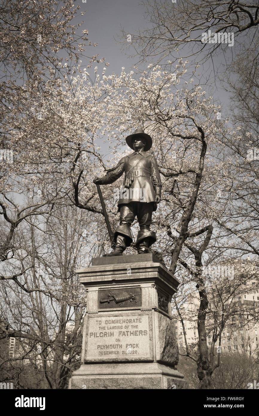 The Pilgrim Statue, Pilgrim Hill, Central Park, NYC Stock Photo - Alamy