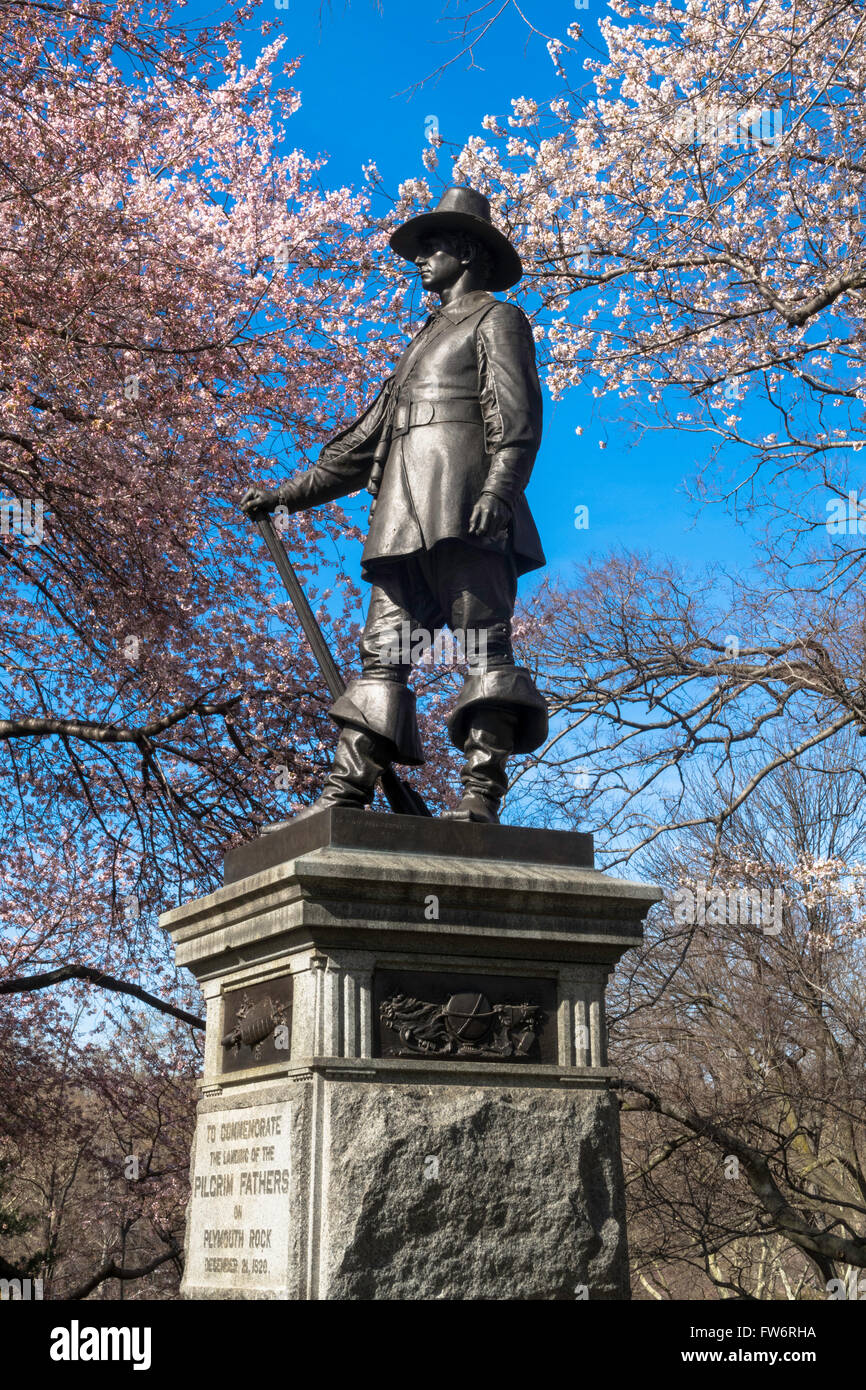 The Pilgrim Statue, Pilgrim Hill, Central Park, NYC Stock Photo - Alamy
