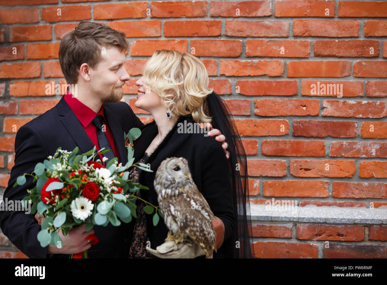 Hugging bridal couple with owl near a brick wall Stock Photo - Alamy