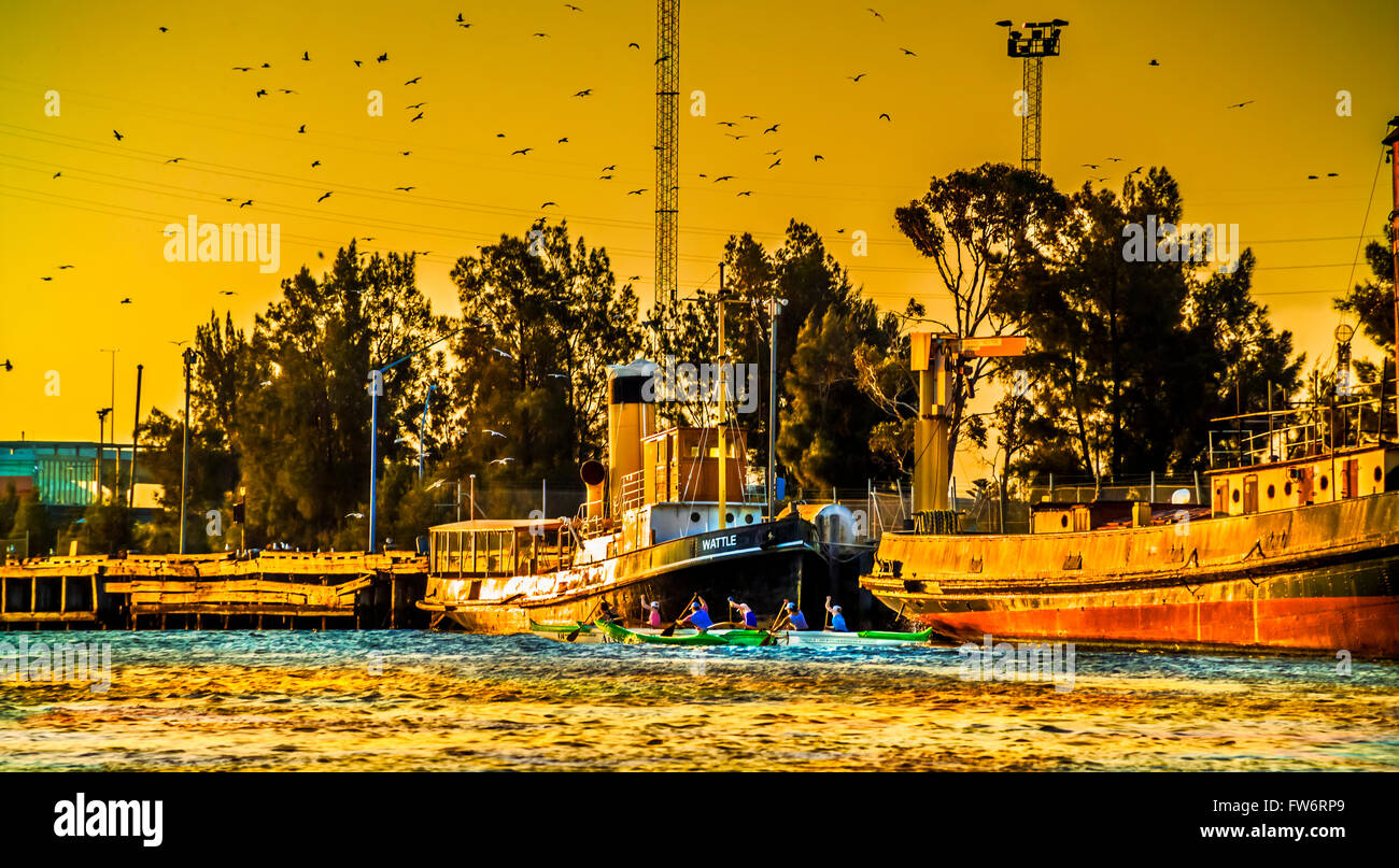 Birds of melbourne hi-res stock photography and images - Alamy