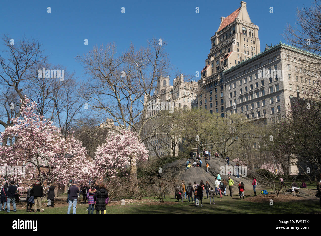Crowds Enjoying a Springtime Day, Central Park, NYC, USA Stock Photo ...