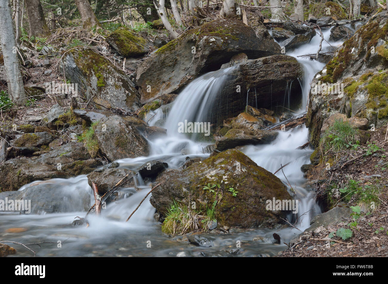 Spring on mossy slope hi-res stock photography and images - Alamy