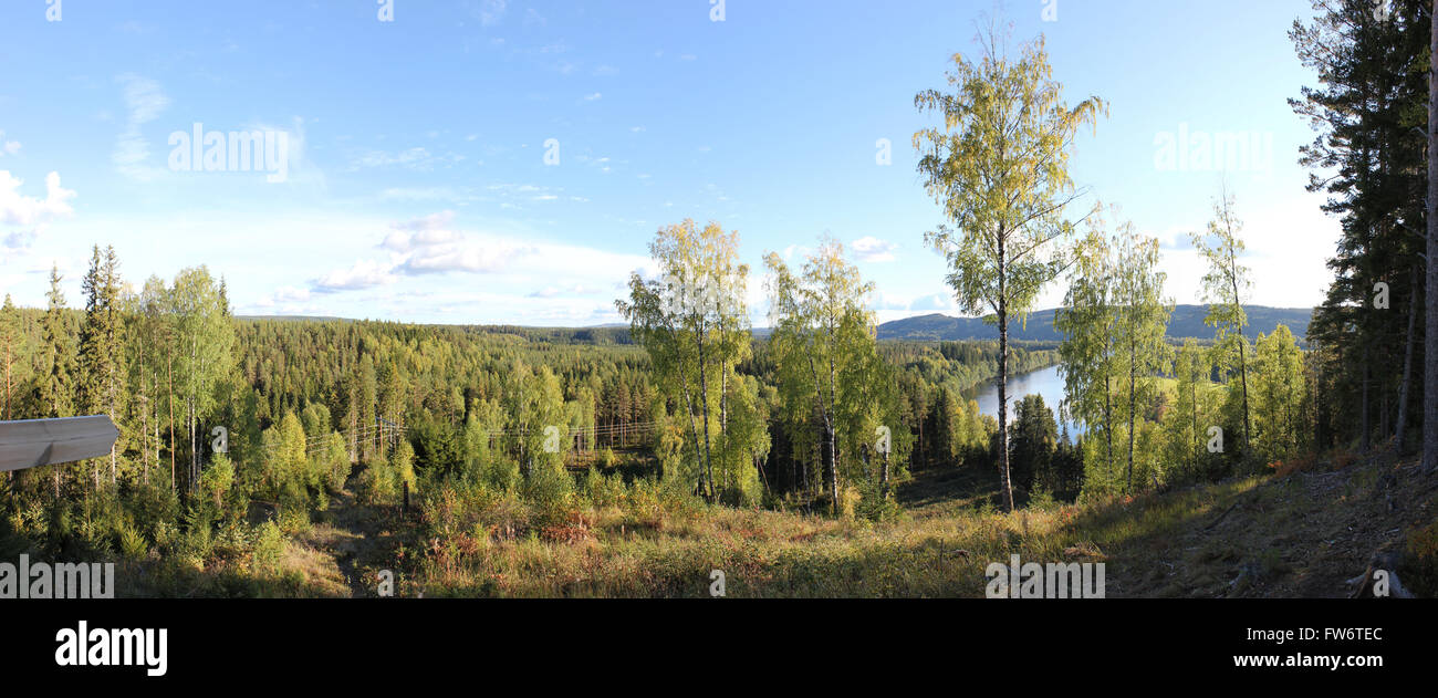Sweden forest mountain hi-res stock photography and images - Alamy
