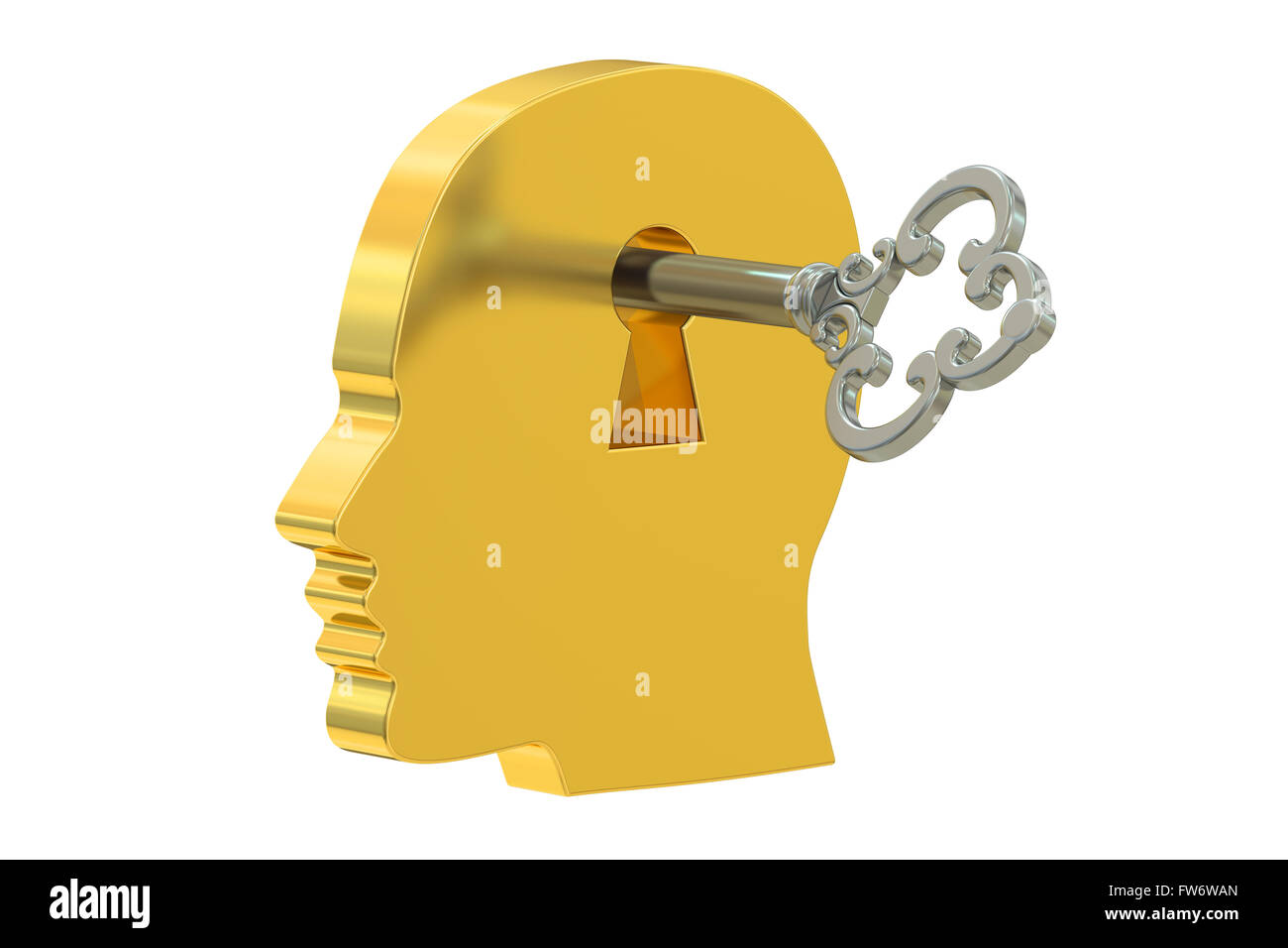 head with key, 3D rendering isolated on white background Stock Photo ...