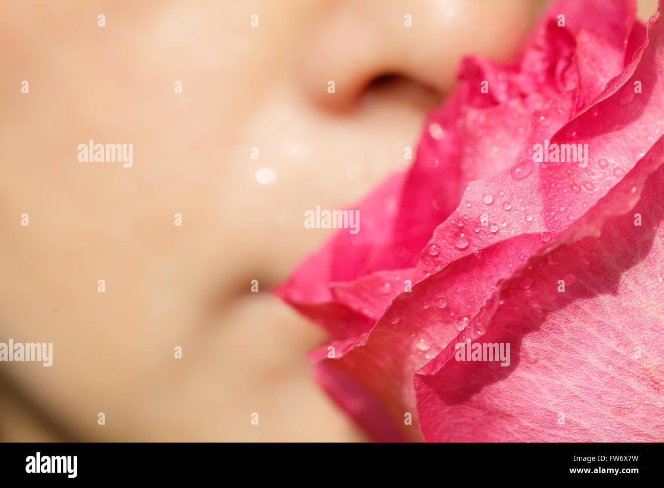 A woman's face and rose local features Stock Photo - Alamy