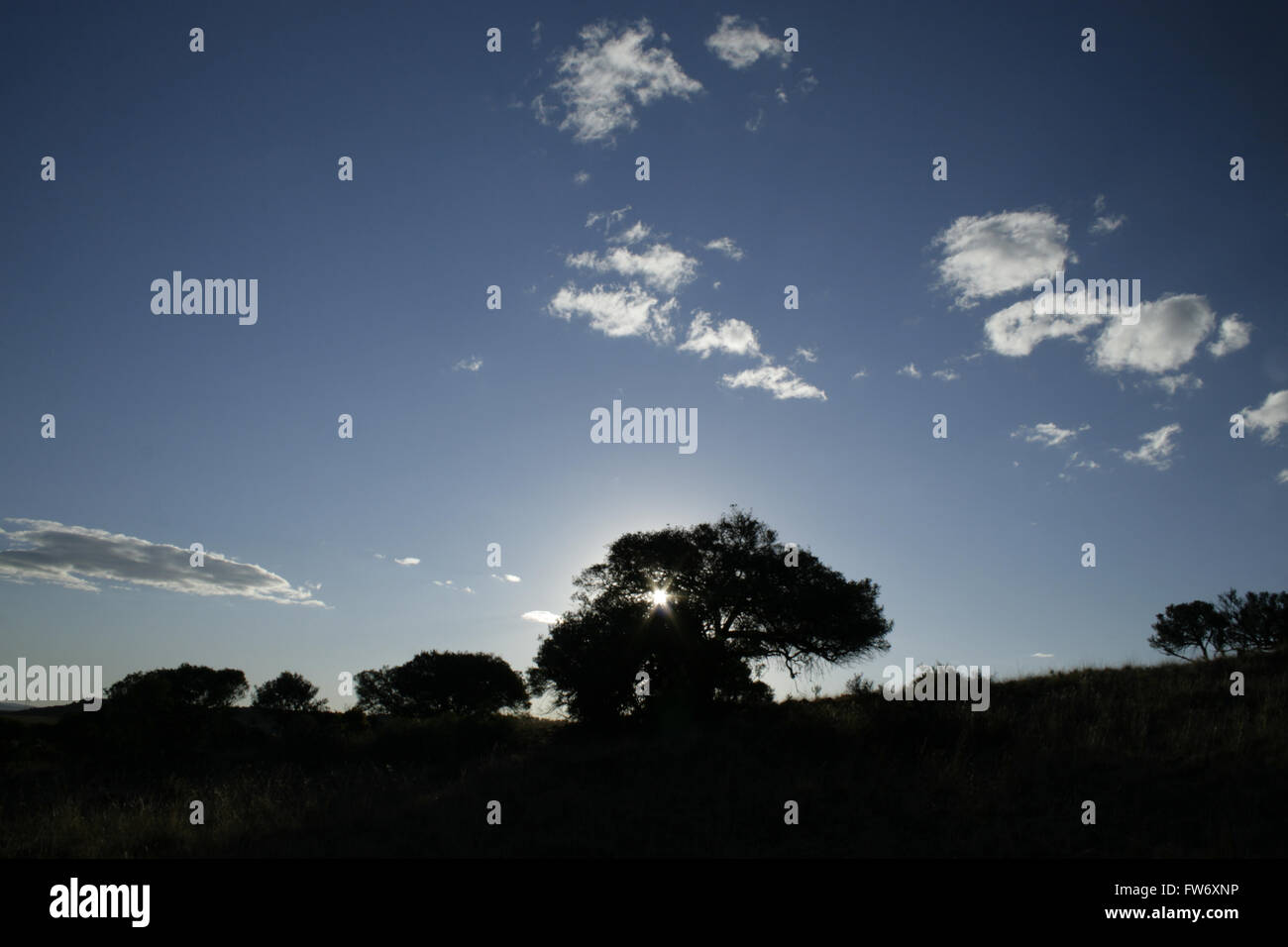 Freestate sky hi-res stock photography and images - Alamy