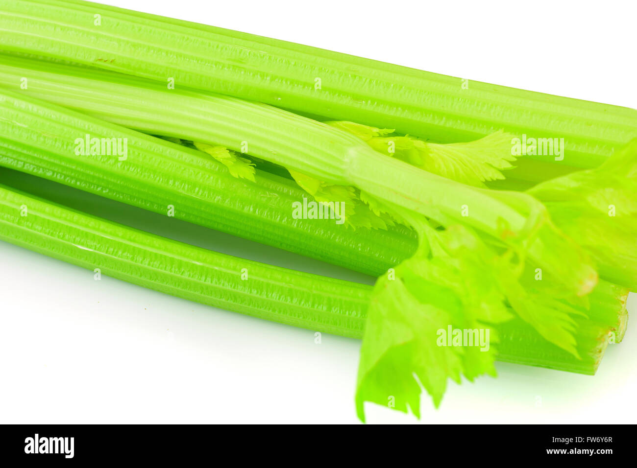 Fresh Juicy Celery on White Background Stock Photo - Alamy