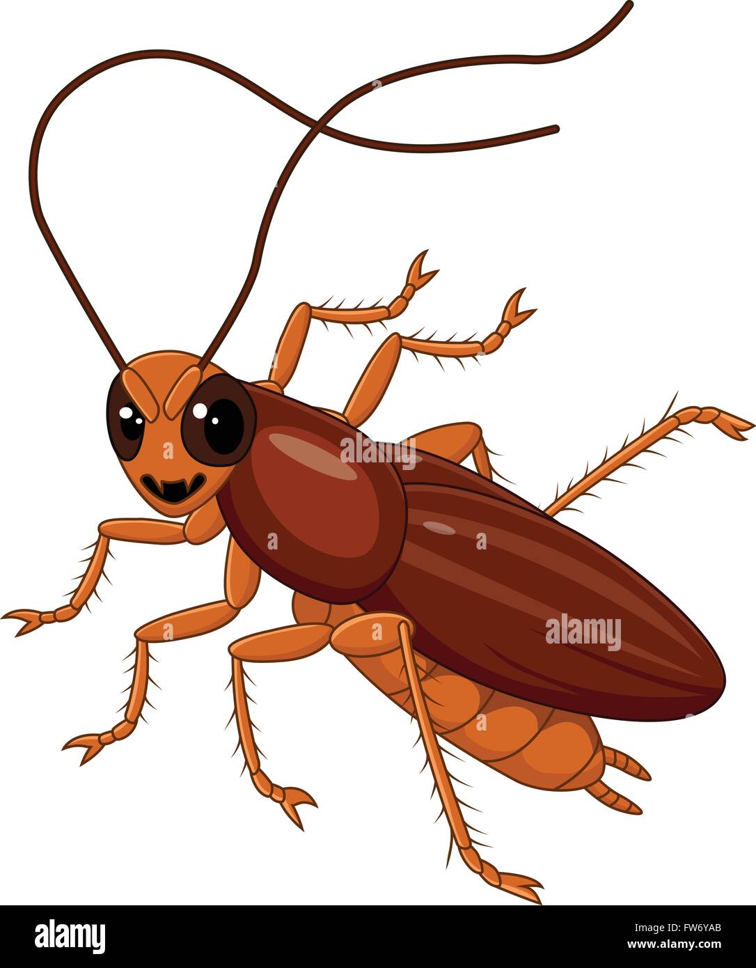 Cute Cockroach isolated on white background Stock Vector Image & Art ...