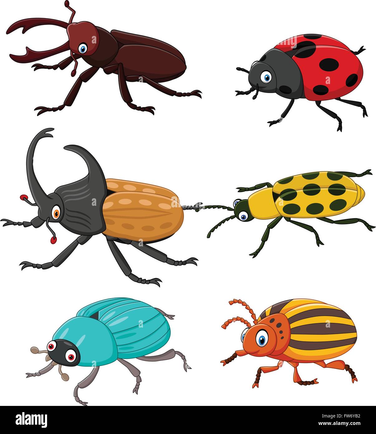 Cartoon funny beetle collection Stock Vector Image & Art - Alamy