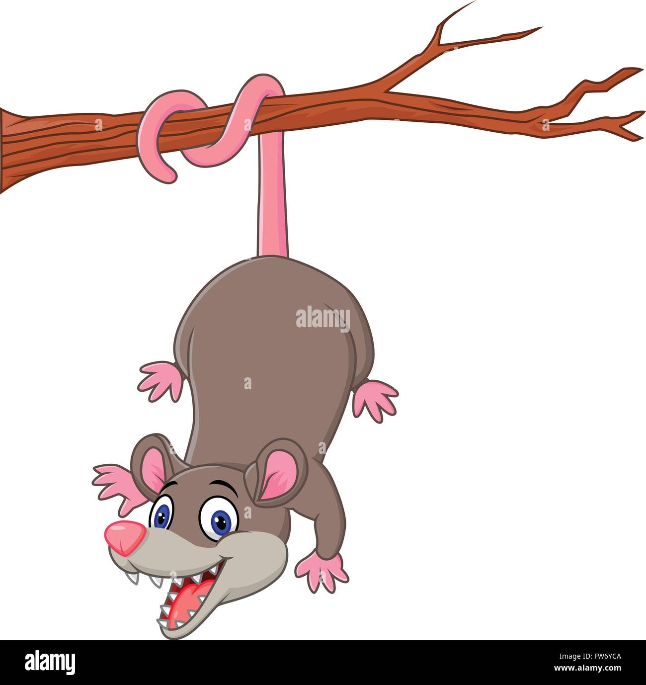 Cartoon funny Opossum on a Tree Branch Stock Vector Image & Art - Alamy
