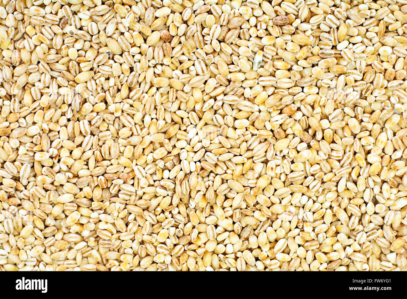 Pearl Barley Whole Grains Stock Photo - Alamy