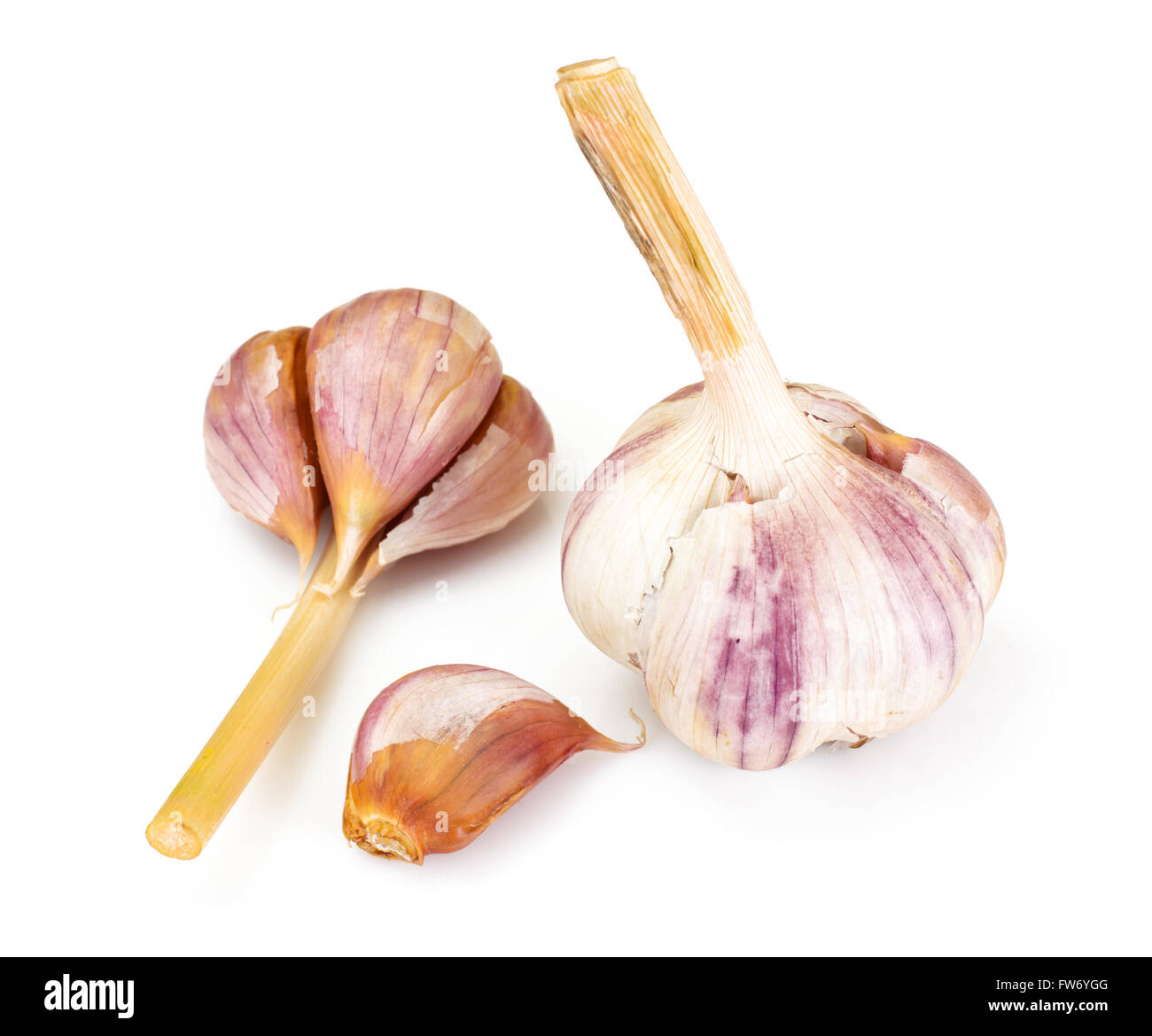 Garlic head cut out hi-res stock photography and images - Alamy