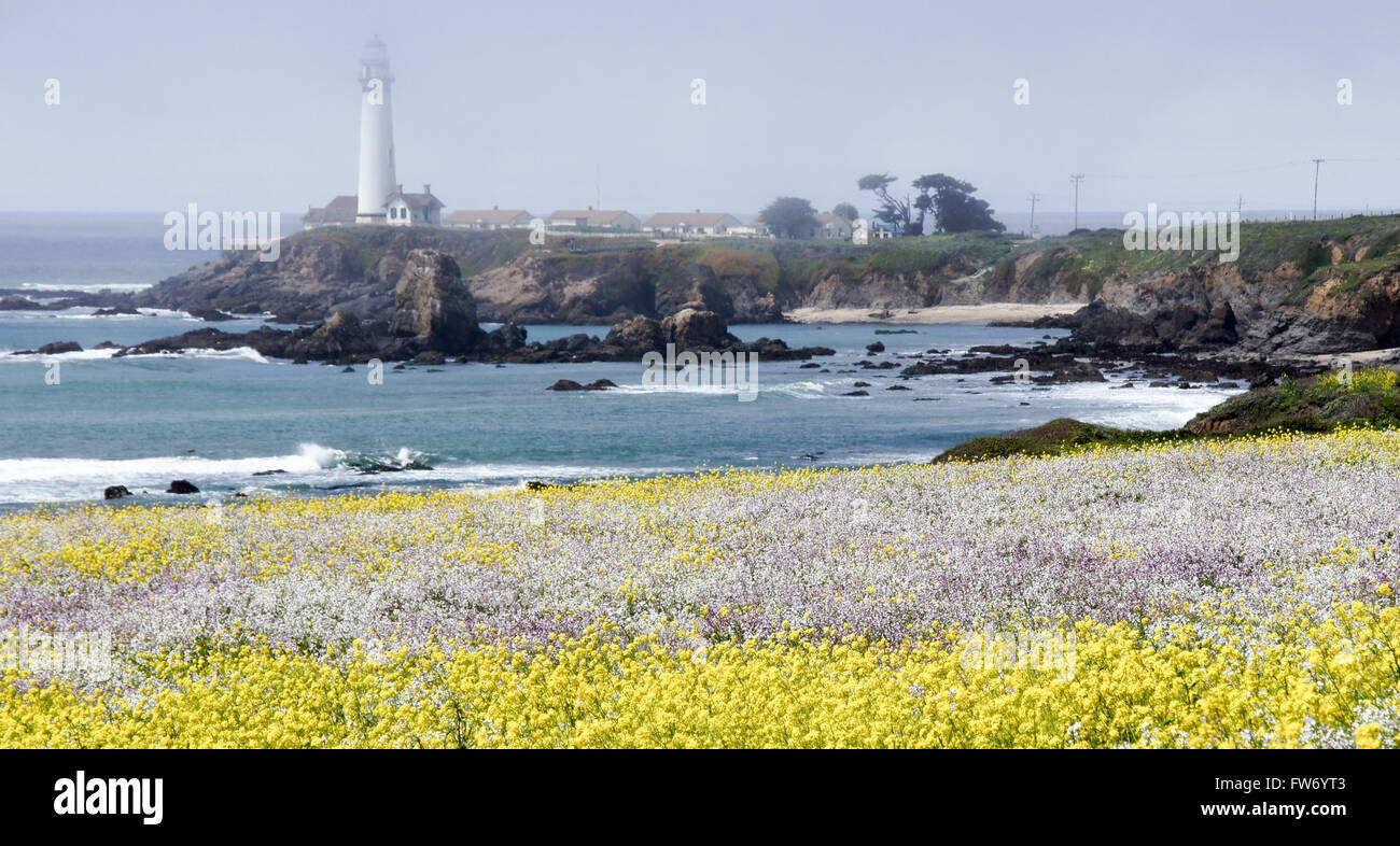 Pigeon Point Lighthouse with Spring wildflowers Stock Photo - Alamy