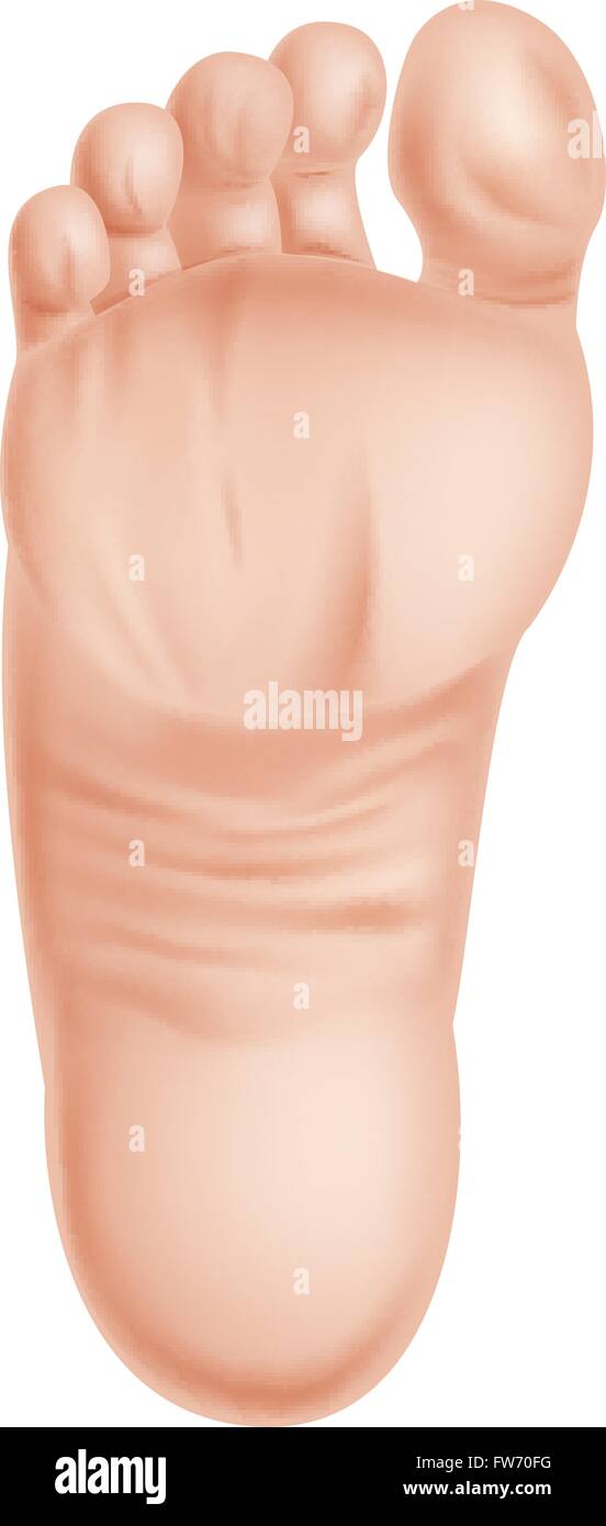 Illustration of feet isolated on white background Stock Vector Image ...