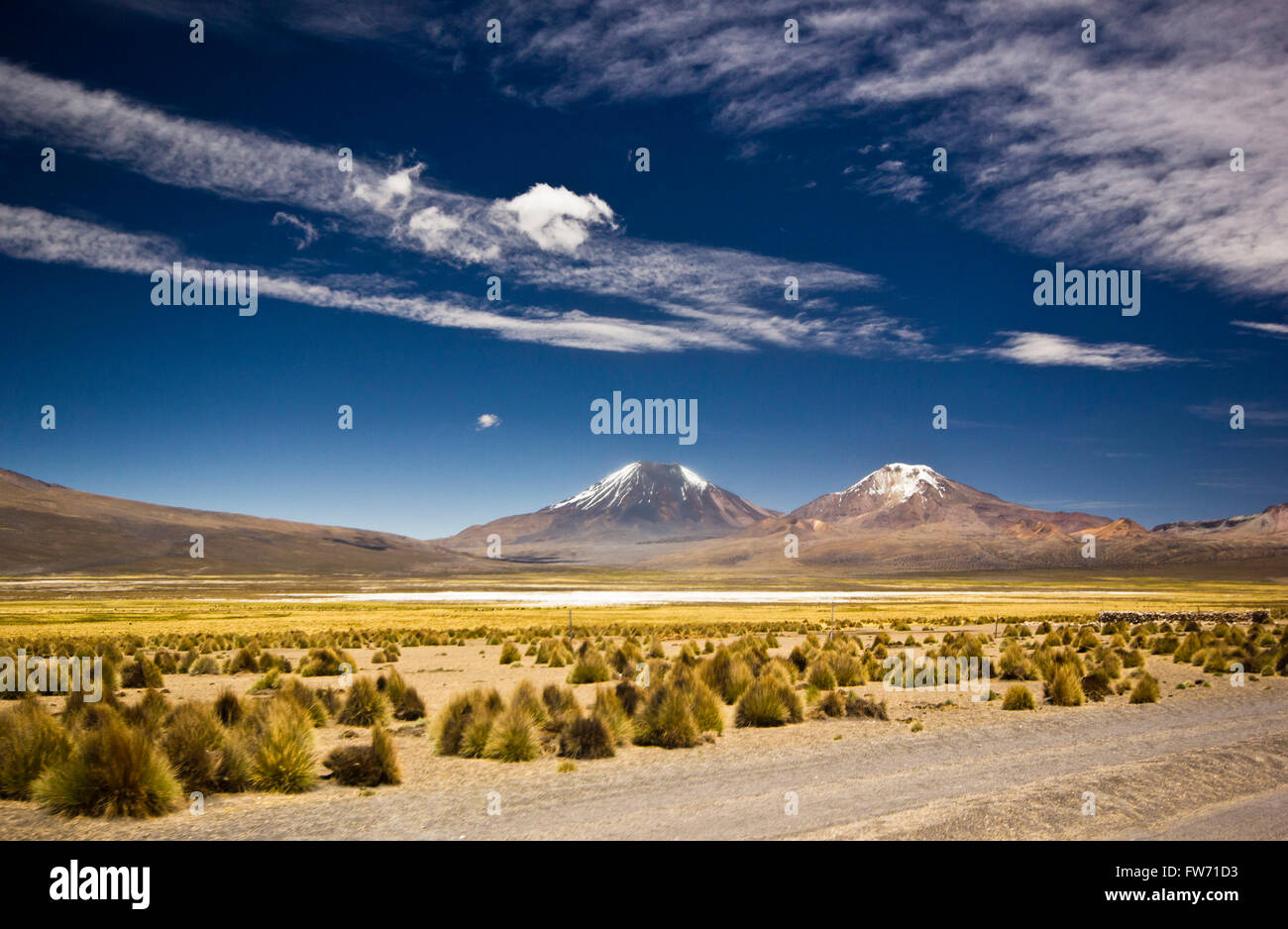 altiplano desert in bolivia near snow covered volcanos near Sajama in ...