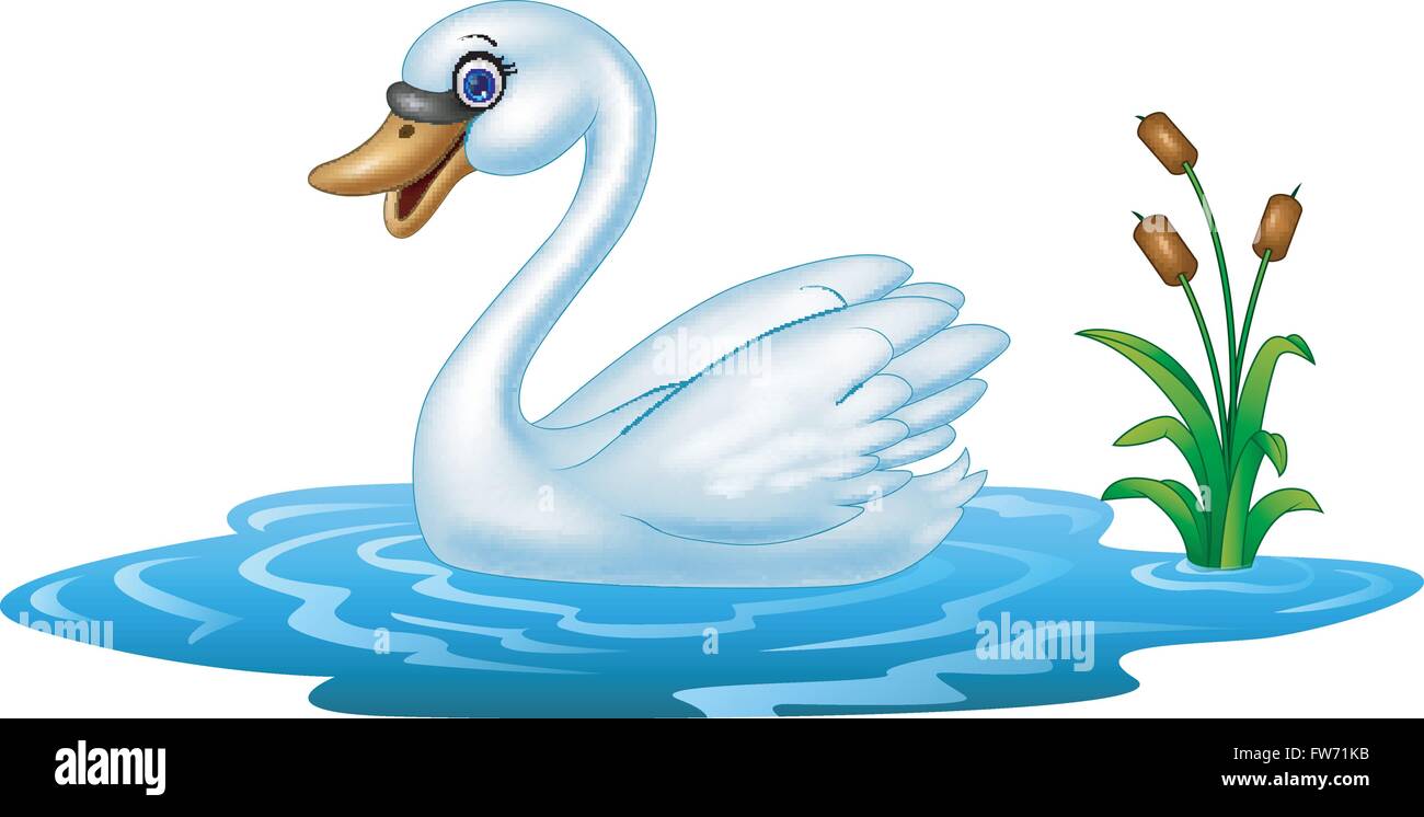 Funny Cartoons With Swans