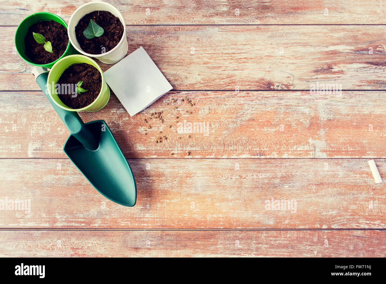 close up of seedlings, trowel and seeds Stock Photo - Alamy