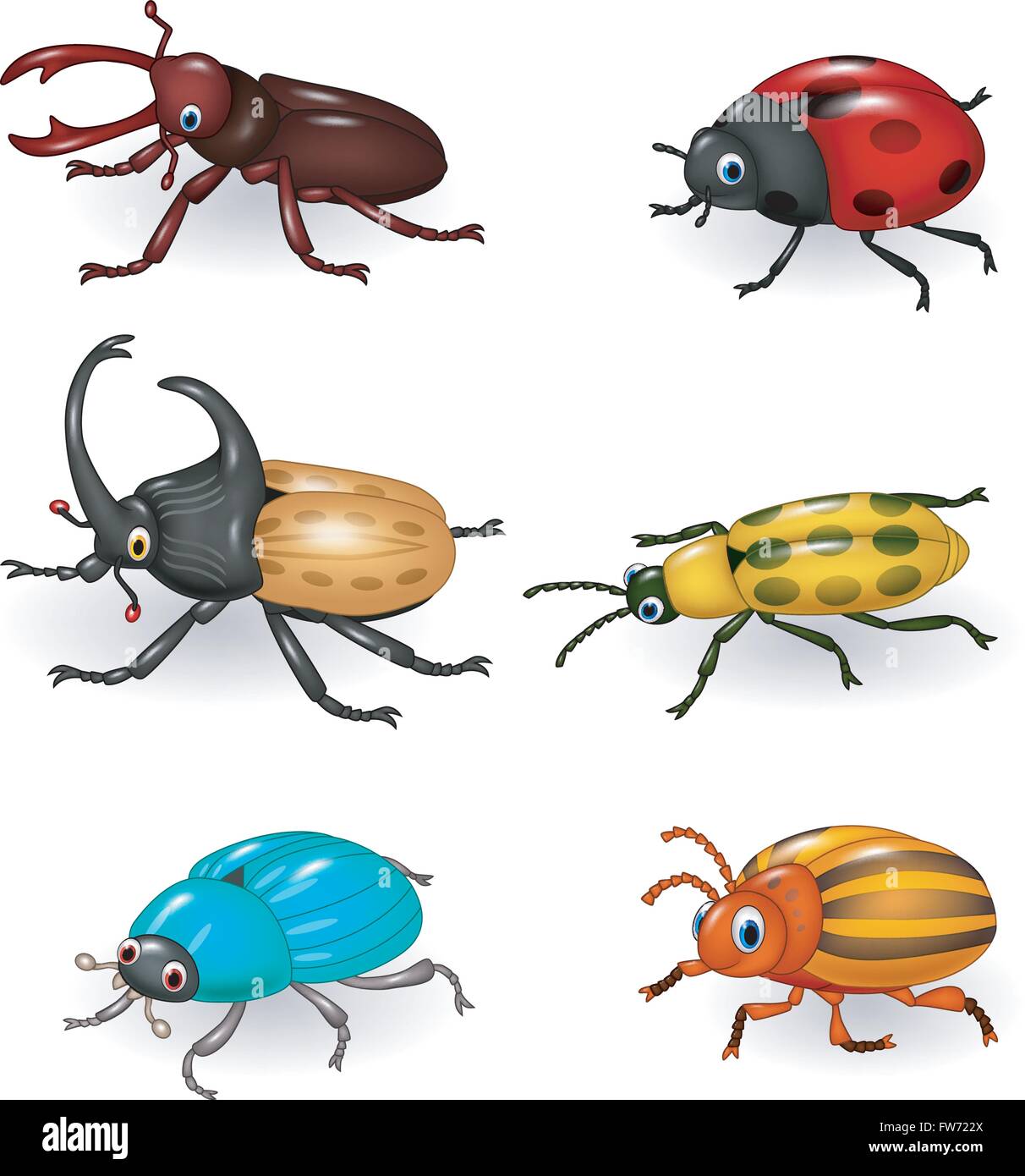 Cartoon funny beetle collection Stock Vector Image & Art - Alamy