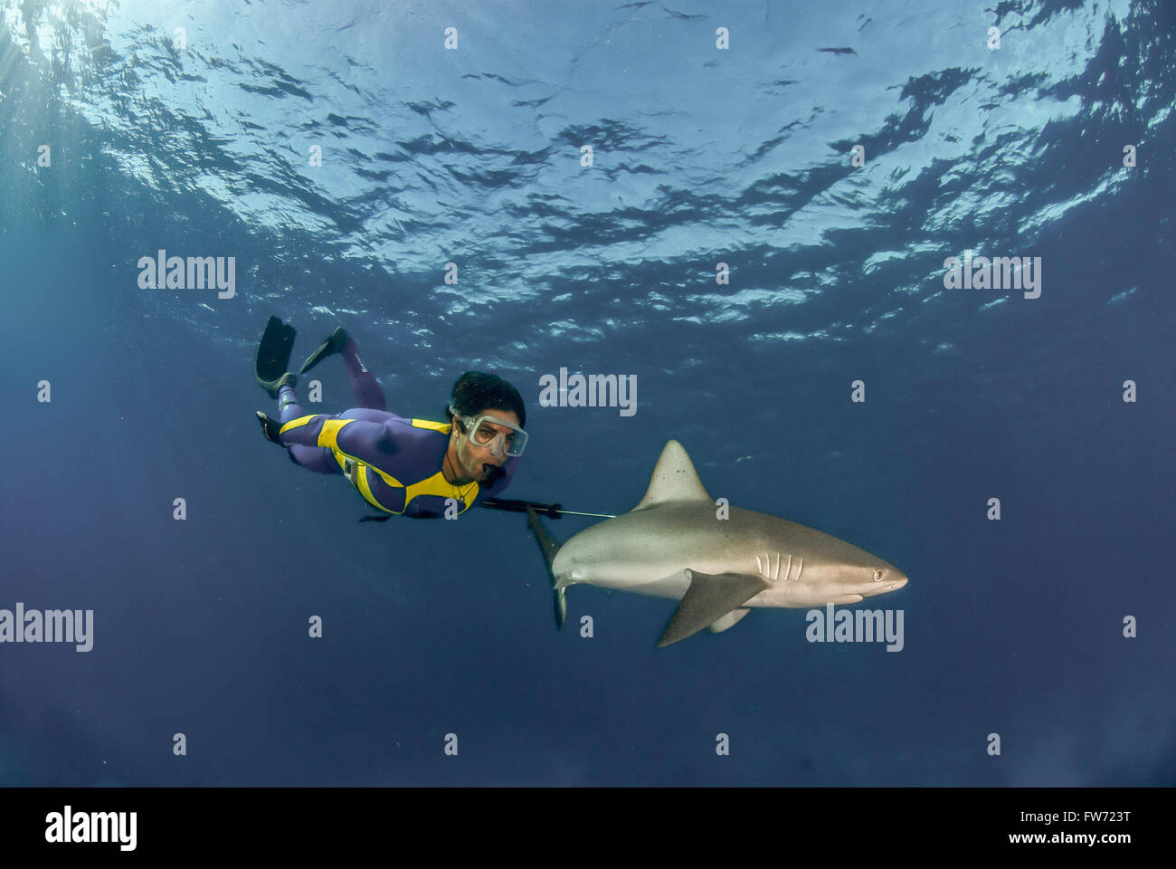 Bassas Da India Shipwrecks