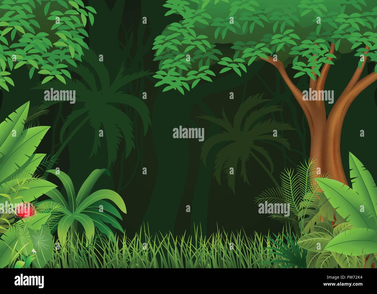 Beautiful forest background Stock Vector Image & Art - Alamy