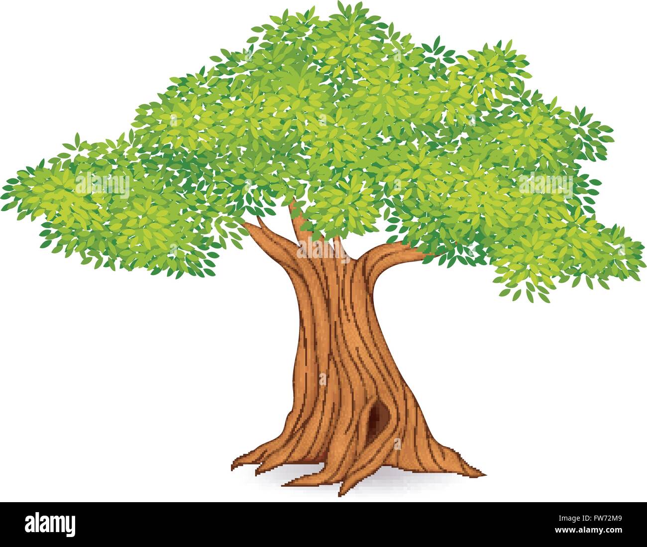 Illustration of tree Stock Vector Image & Art - Alamy