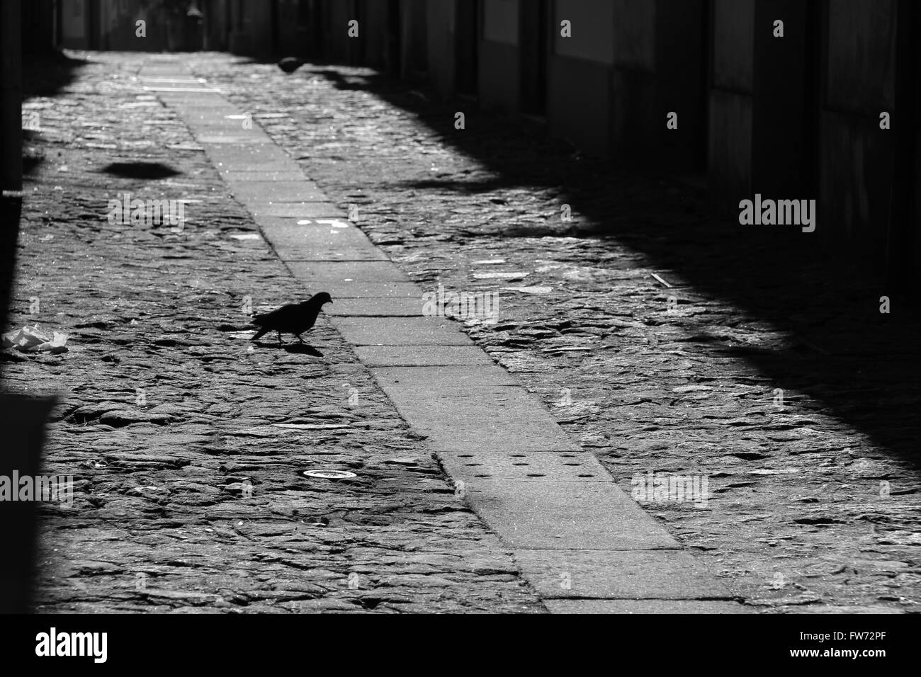 Way ... peace...symbol of peace Stock Photo - Alamy