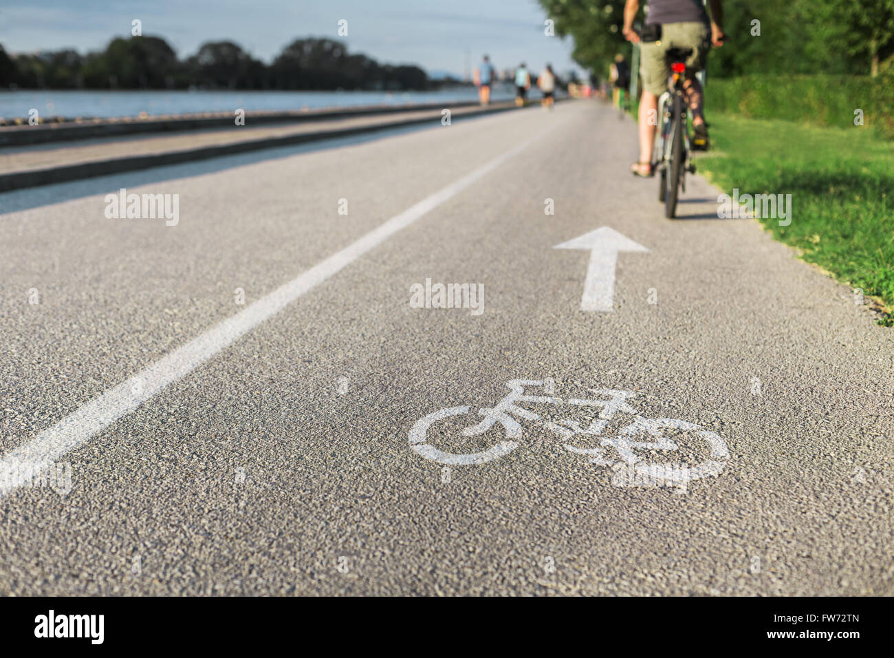 Bicycle lane mark on the city cycle lane in summertime Stock Photo - Alamy
