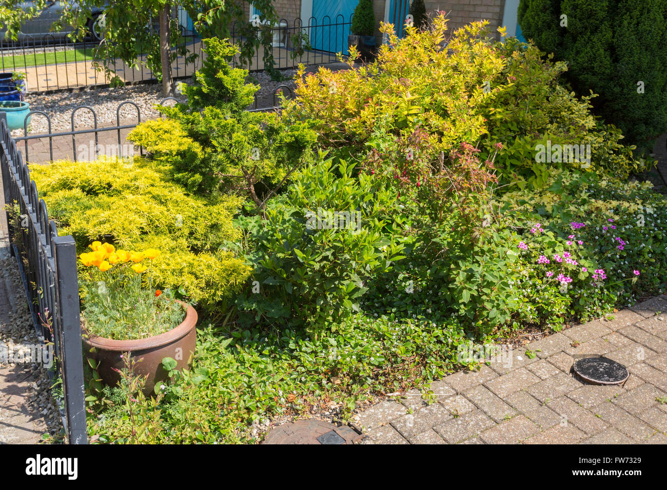 small front garden in the UK Stock Photo - Alamy