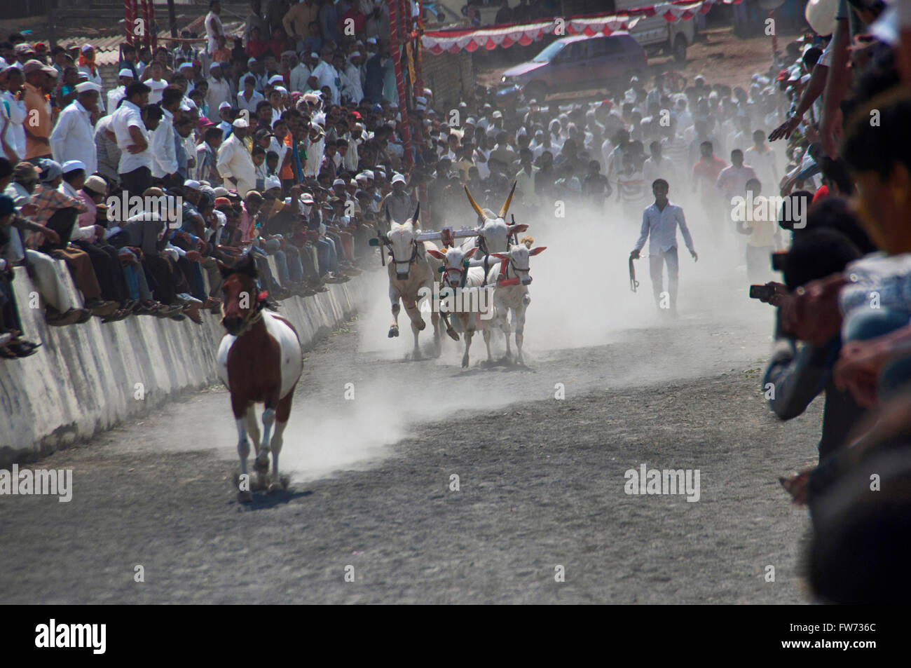 Traditional bullock cart racing bailgada hi-res stock photography and ...