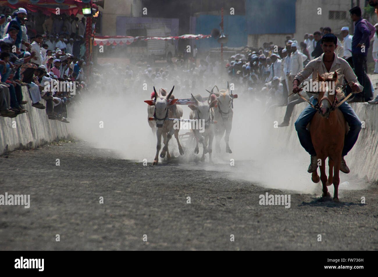 Traditional bullock cart racing bailgada hi-res stock photography and ...