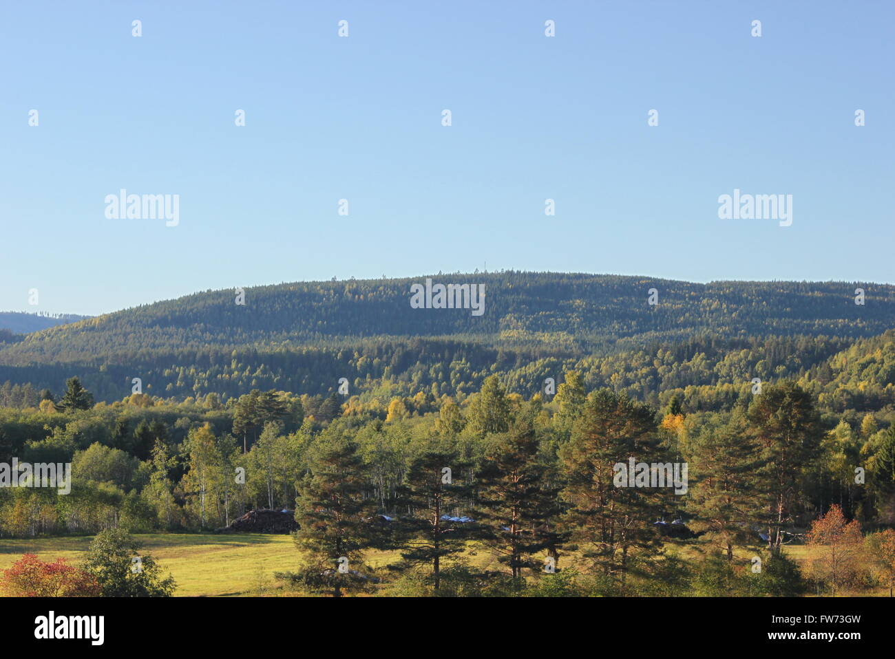 Taiga sweden hi-res stock photography and images - Alamy
