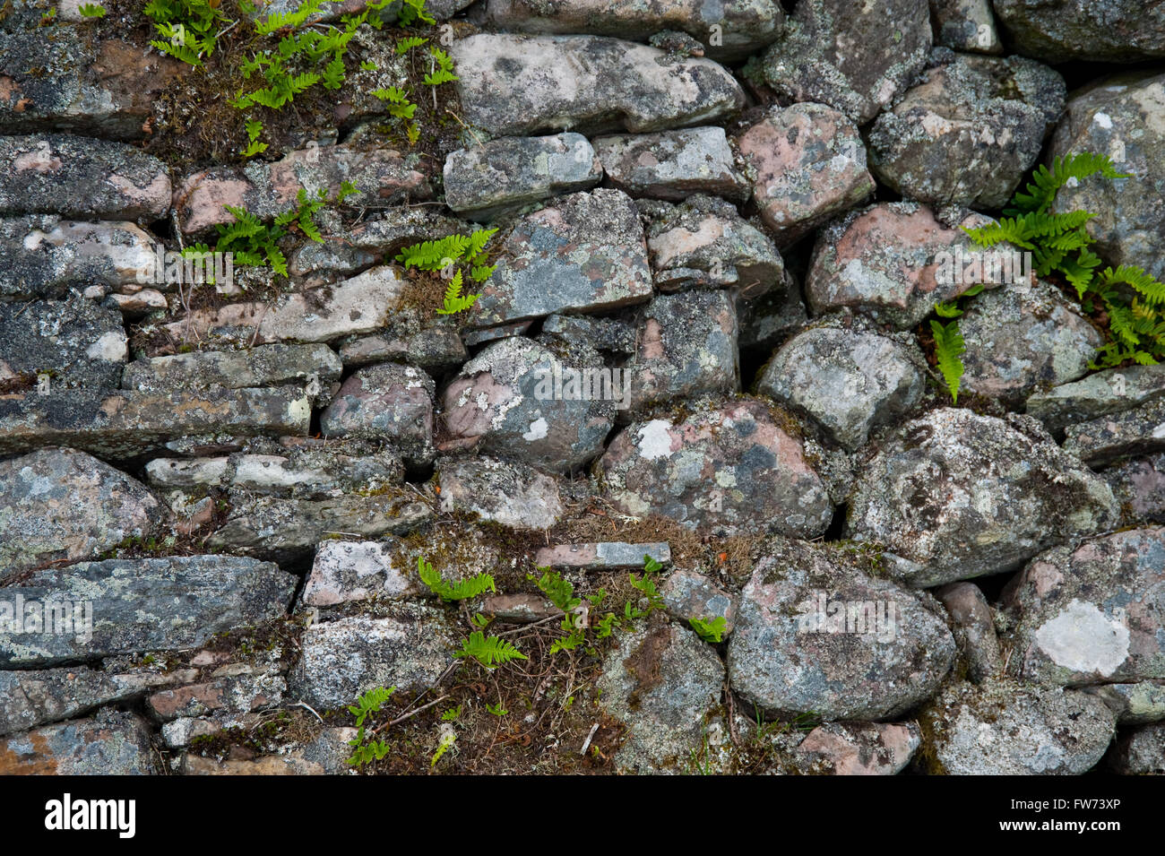 Chambered tombs hi-res stock photography and images - Alamy